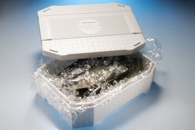 Packaging with Styropor